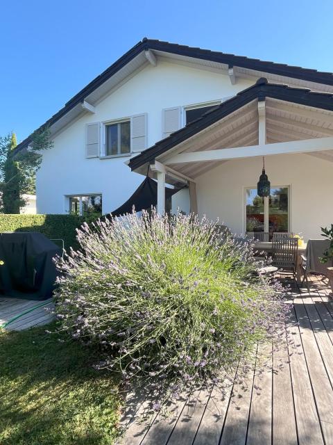 Carte MICHELIN Morges - ViaMichelin