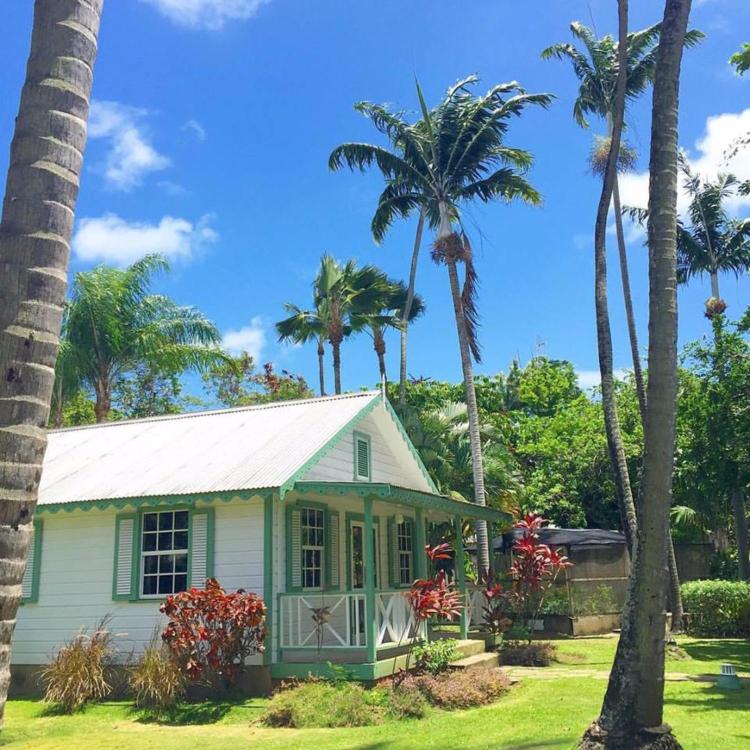 Cobblers Cove Hotel Review, Barbados | Telegraph Travel