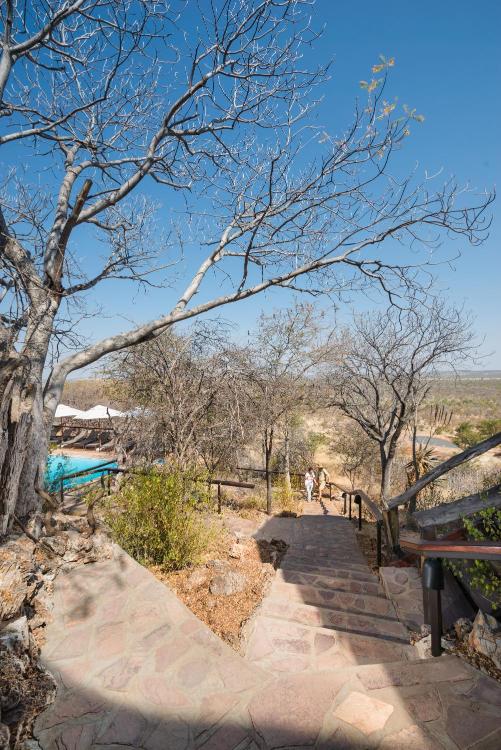 Ongava Lodge Hotel Review, Namibia, Africa | Telegraph Travel