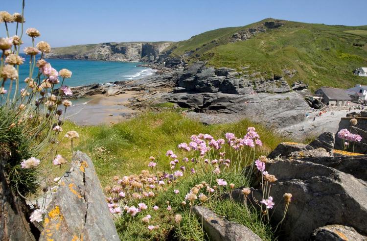 The Port William Hotel Review, Trebarwith, Cornwall | Telegraph Travel