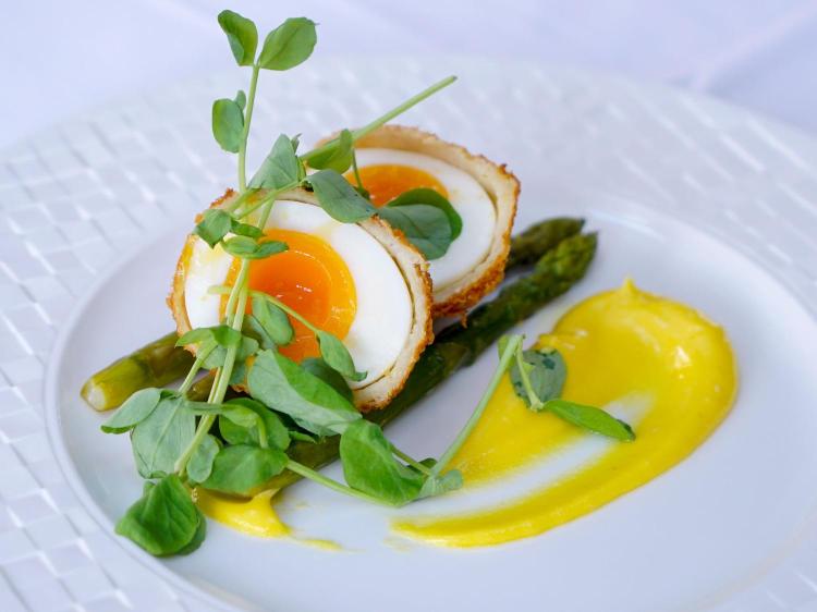 Headlam Hall Hotel Review, County Durham, UK | Telegraph Travel