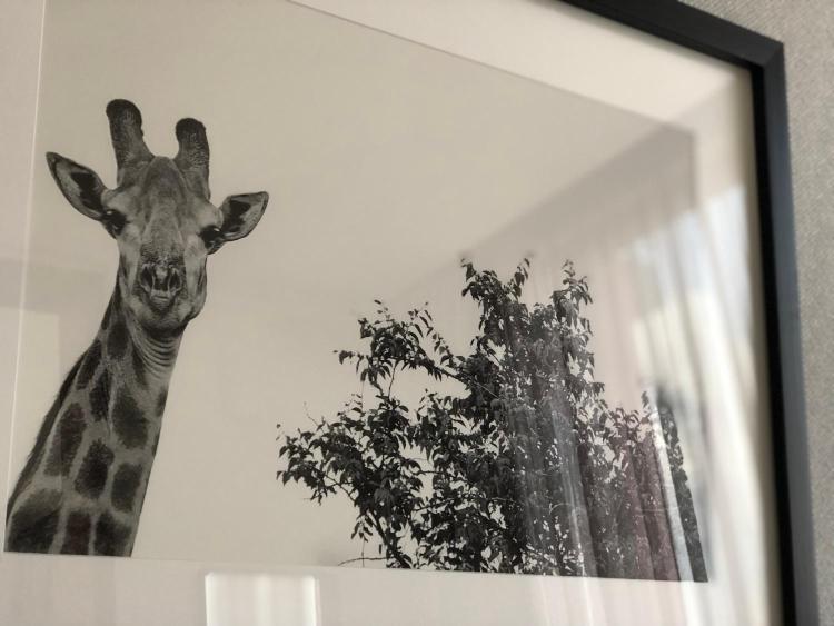 Mythos Boutique Hotel Hotel Review, Kigali, Rwanda | Telegraph Travel