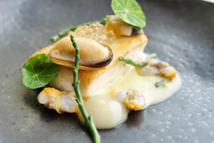 Ilsington Country House Hotel Review, Dartmoor, Devon | Travel