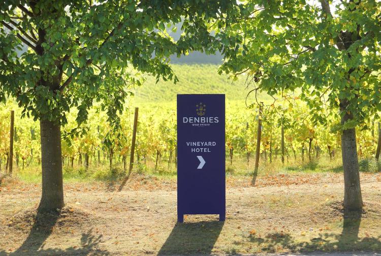 Denbies Vineyard Hotel Review, Surrey, England | Telegraph Travel