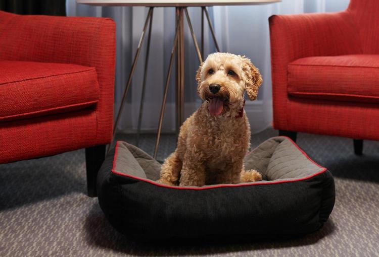 The Dilly Hotel Review, London | Telegraph Travel