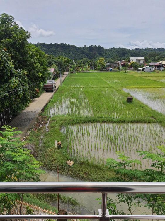 Ashburn's Transient- Bauang La Union, Beach Capital of the North in ...