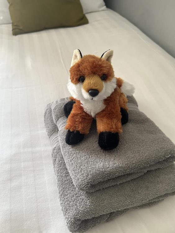 Foxes Hotel Review, Minehead, Somerset | Travel