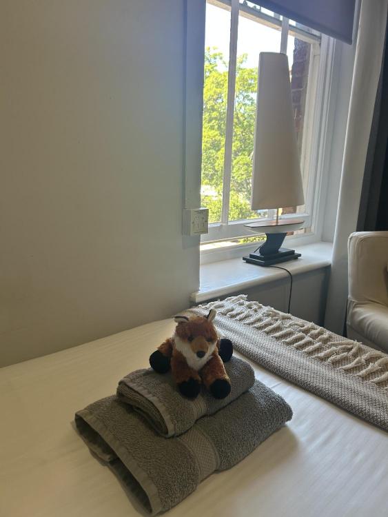 Foxes Hotel Review, Minehead, Somerset | Travel