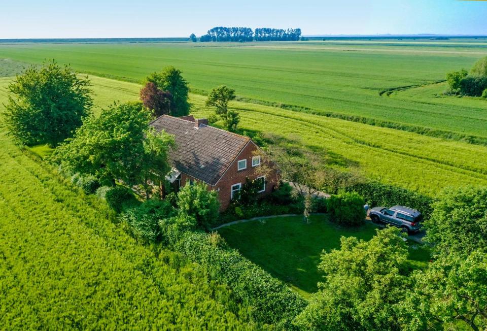 Kaart MICHELIN Scheemda - ViaMichelin