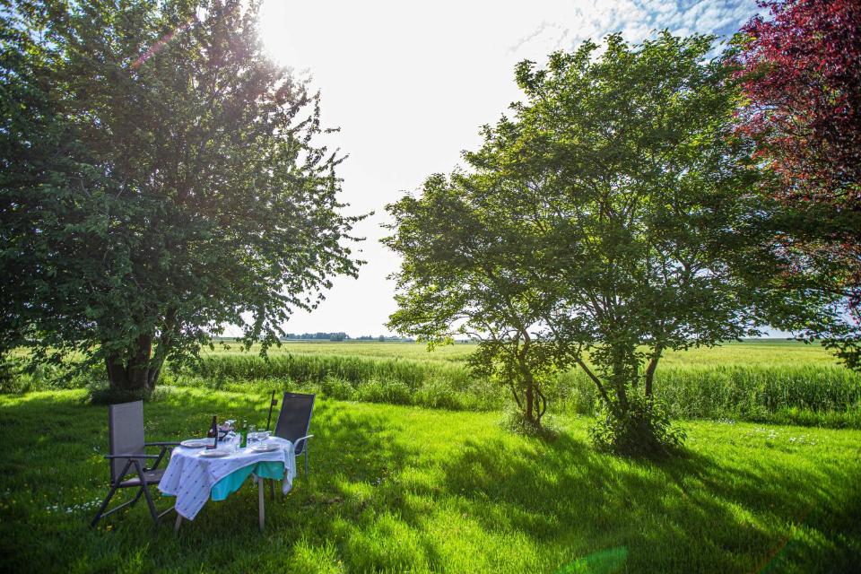 Kaart MICHELIN Scheemda - ViaMichelin