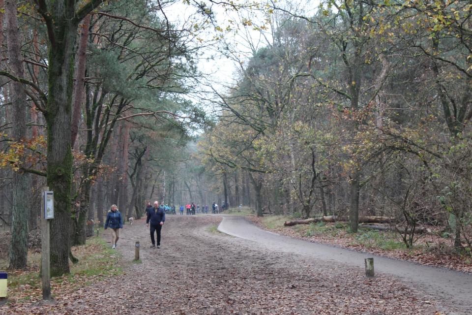 Kaart MICHELIN Drunen - ViaMichelin