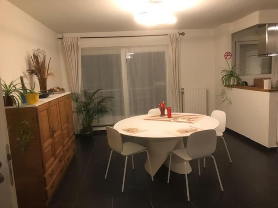 MICHELIN Dessel map - ViaMichelin