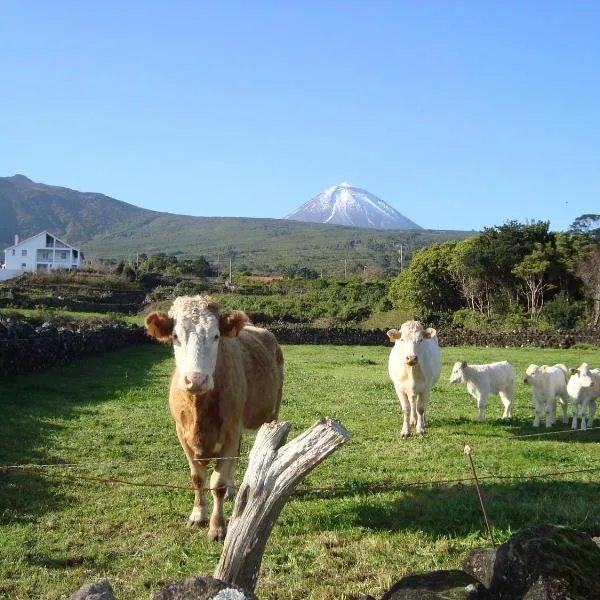 Casa do Alecrim - São Roque do Pico, Portugal - Actualizado 2025: Precios y reseñas | Planet of ...