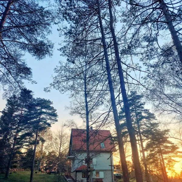 Crni vrh Divcibare - Divčibare, Srbija - Ažurirano 2026: Cene i ...