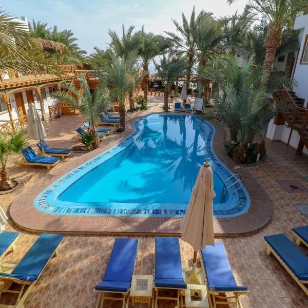 New sphinx hotel - Dahab, Egipto - Actualizado 2025: Precios de hoteles ...
