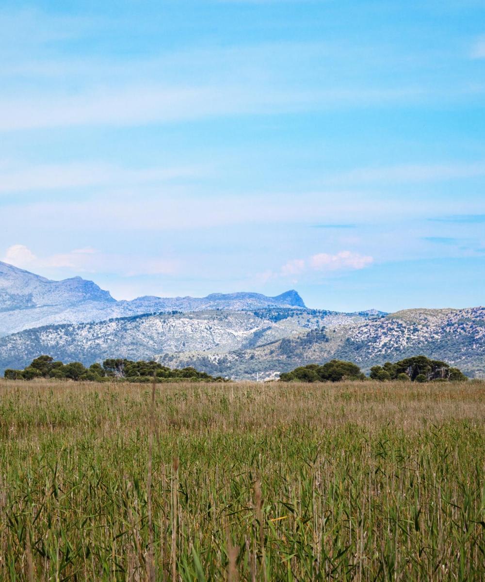 Playa de Muro vacations - Get great offers for cheap vacations