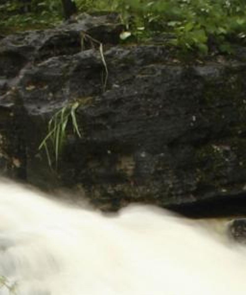 Book cheap flights to Missouri – Booking.com