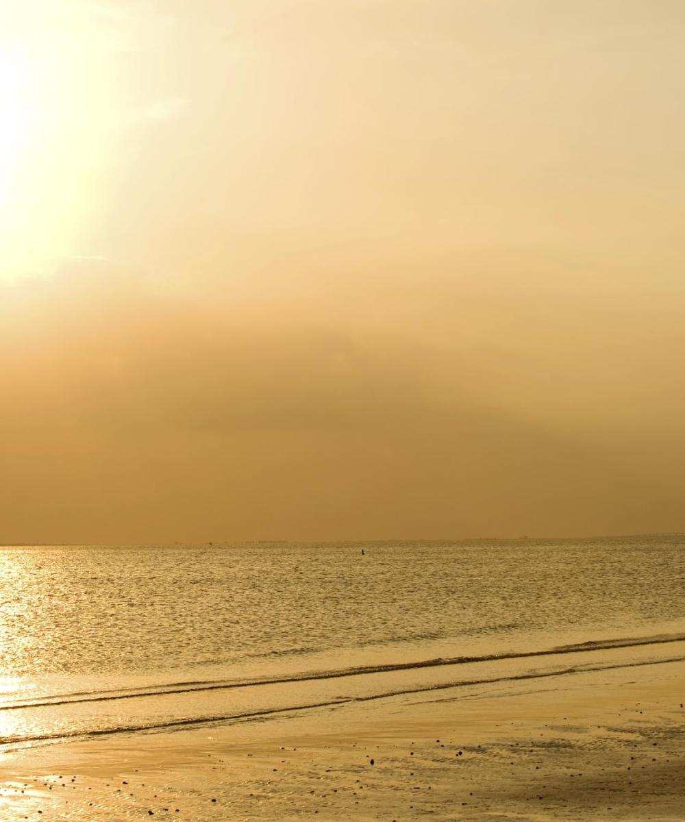 Book cheap flights to Southwest Florida – Booking.com