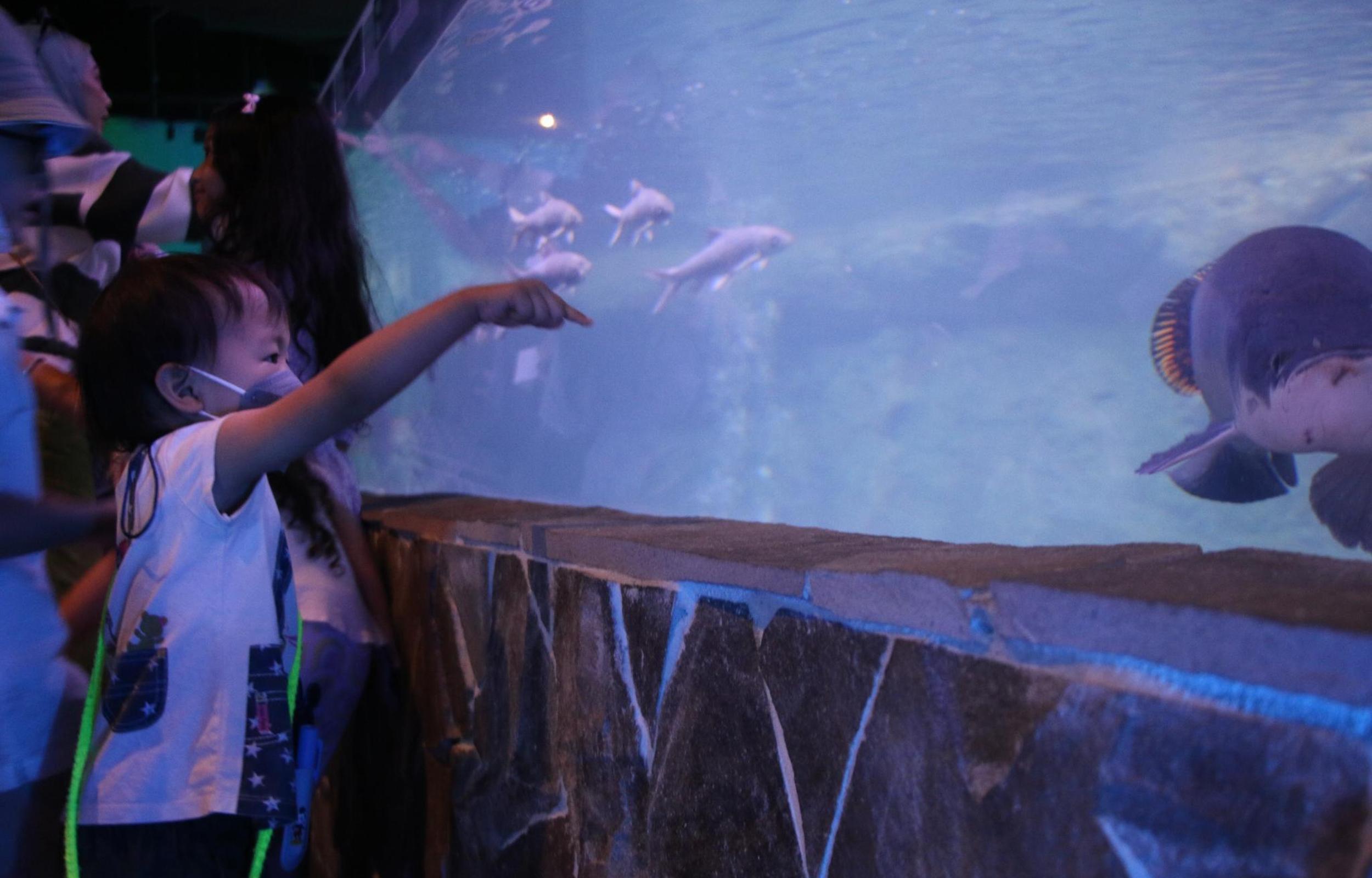 Nilai Springs Resort Hotel, Nilai | 2024 Updated Prices, Deals