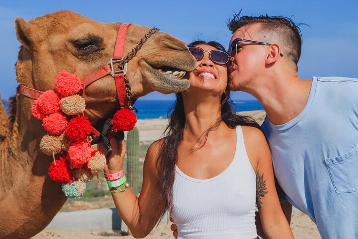 Beach Camel Ride Experience with Mega Burrito Cabo San Lucas - Booking.com