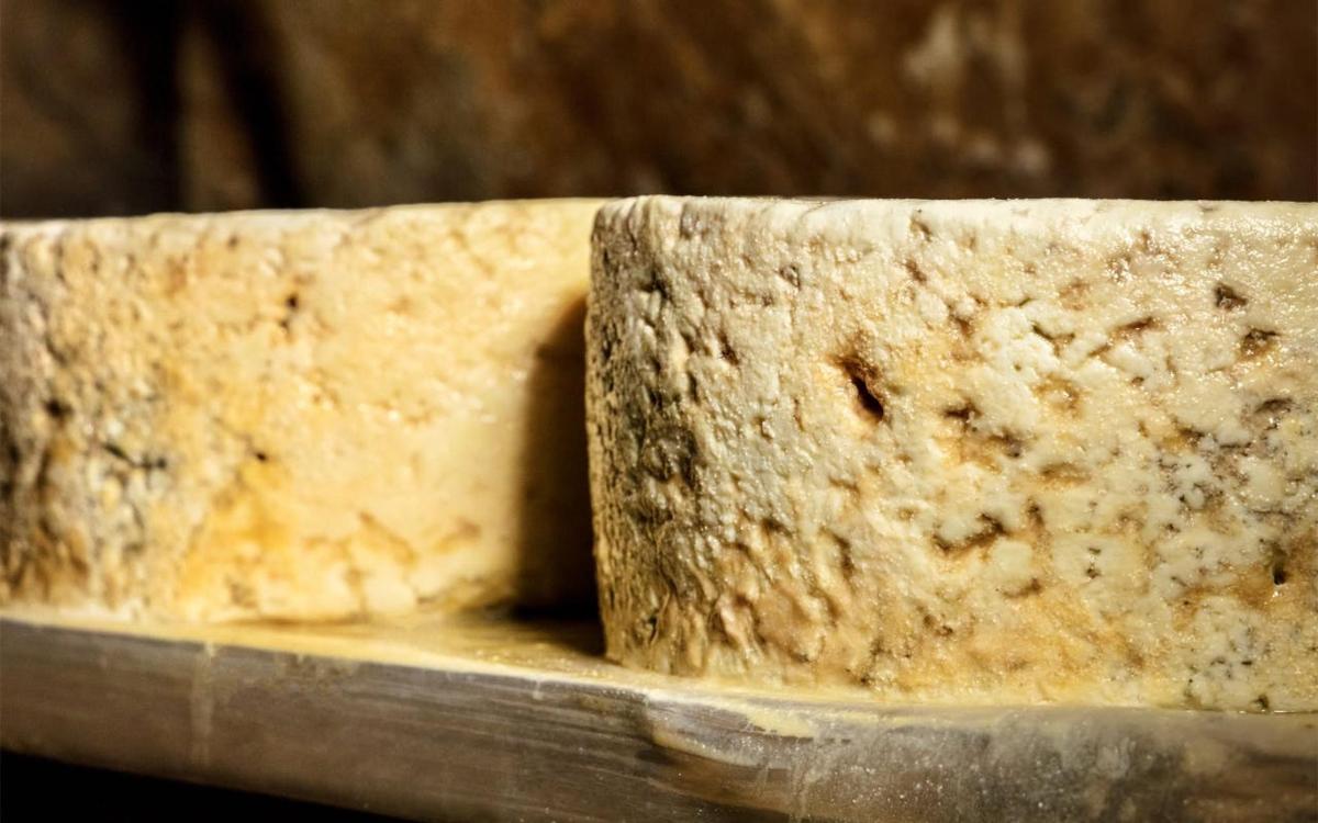 Bulnes, Funicular and Cabrales Cheese Cave Day Trip from Oviedo (Oviedo ...